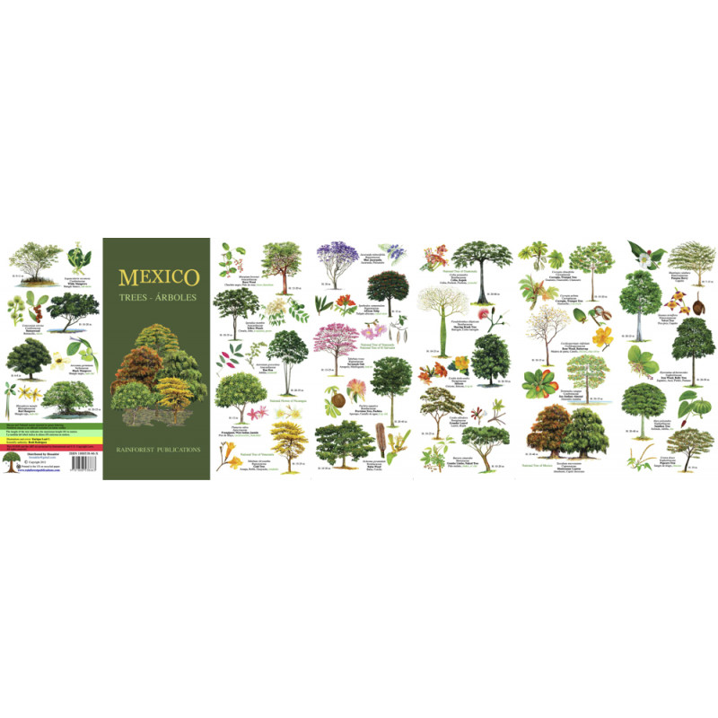 Árboles México